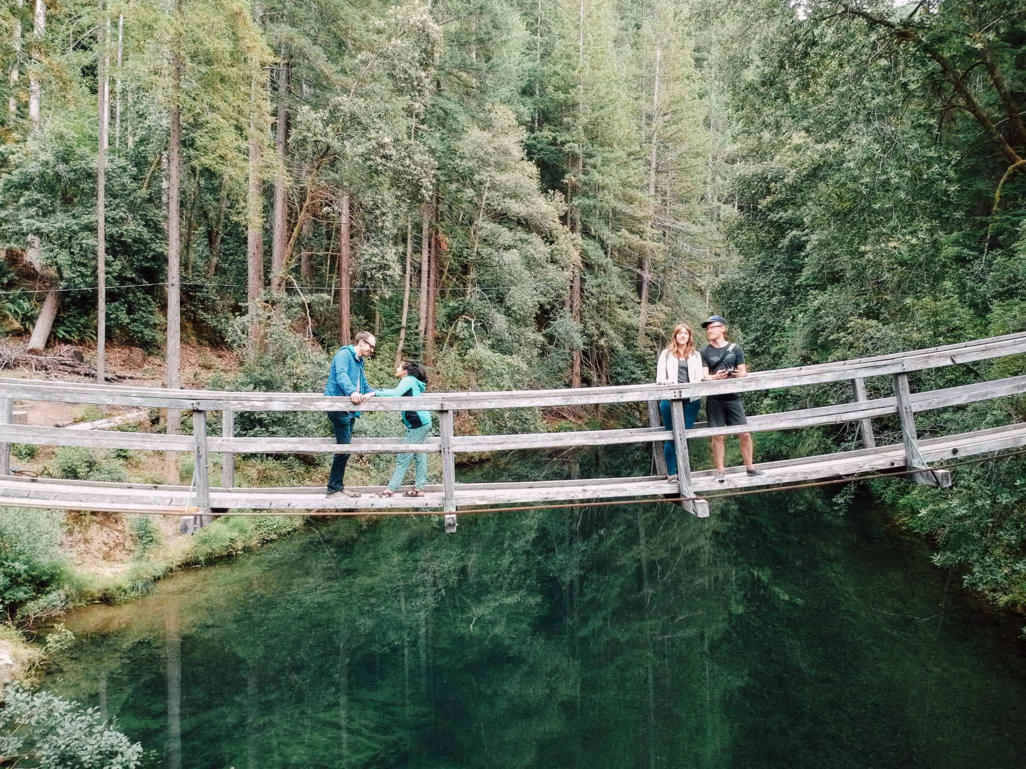 Take the Skunk Train to Camp Noyo - littlegrunts.com