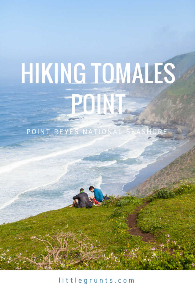 Hiking Tomales Point, Point Reyes National Seashore - littlegrunts.com