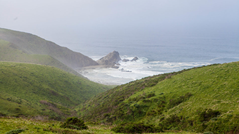 Hiking Tomales Point, Point Reyes National Seashore - littlegrunts.com