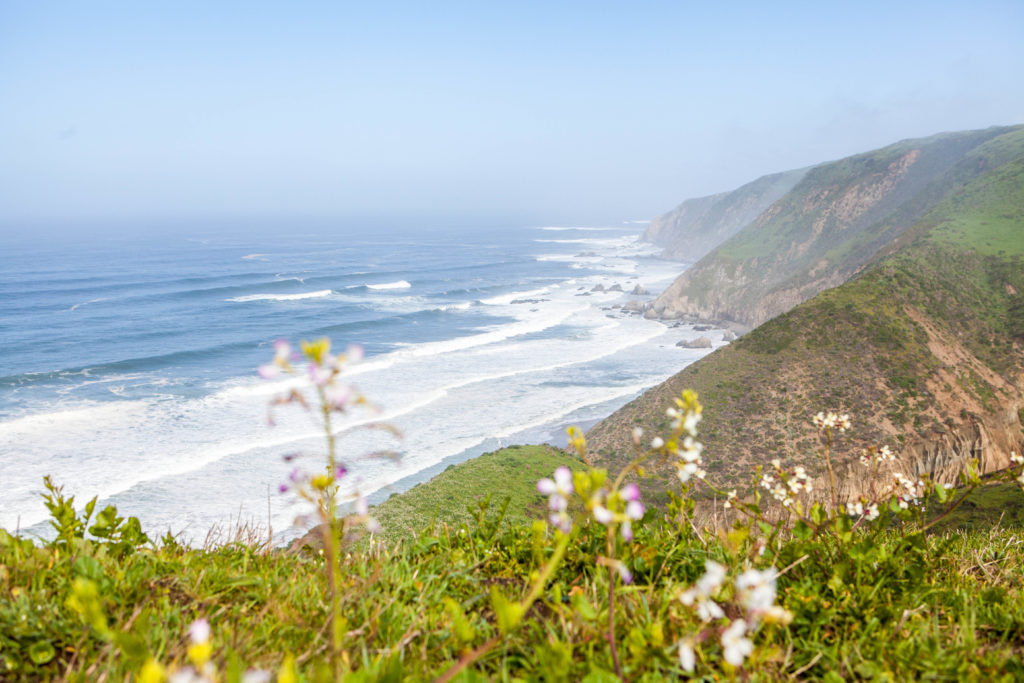 Hiking Tomales Point, Point Reyes National Seashore - littlegrunts.com