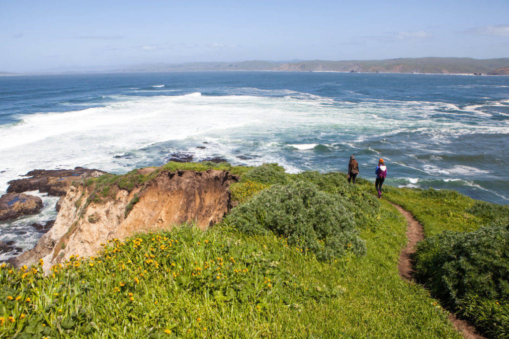 Hiking Tomales Point, Point Reyes National Seashore - littlegrunts.com