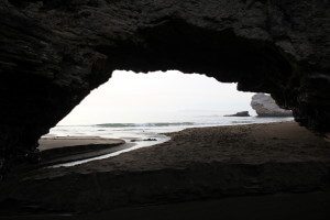 Point Reyes National Seashore: Arch Rock - littlegrunts.com