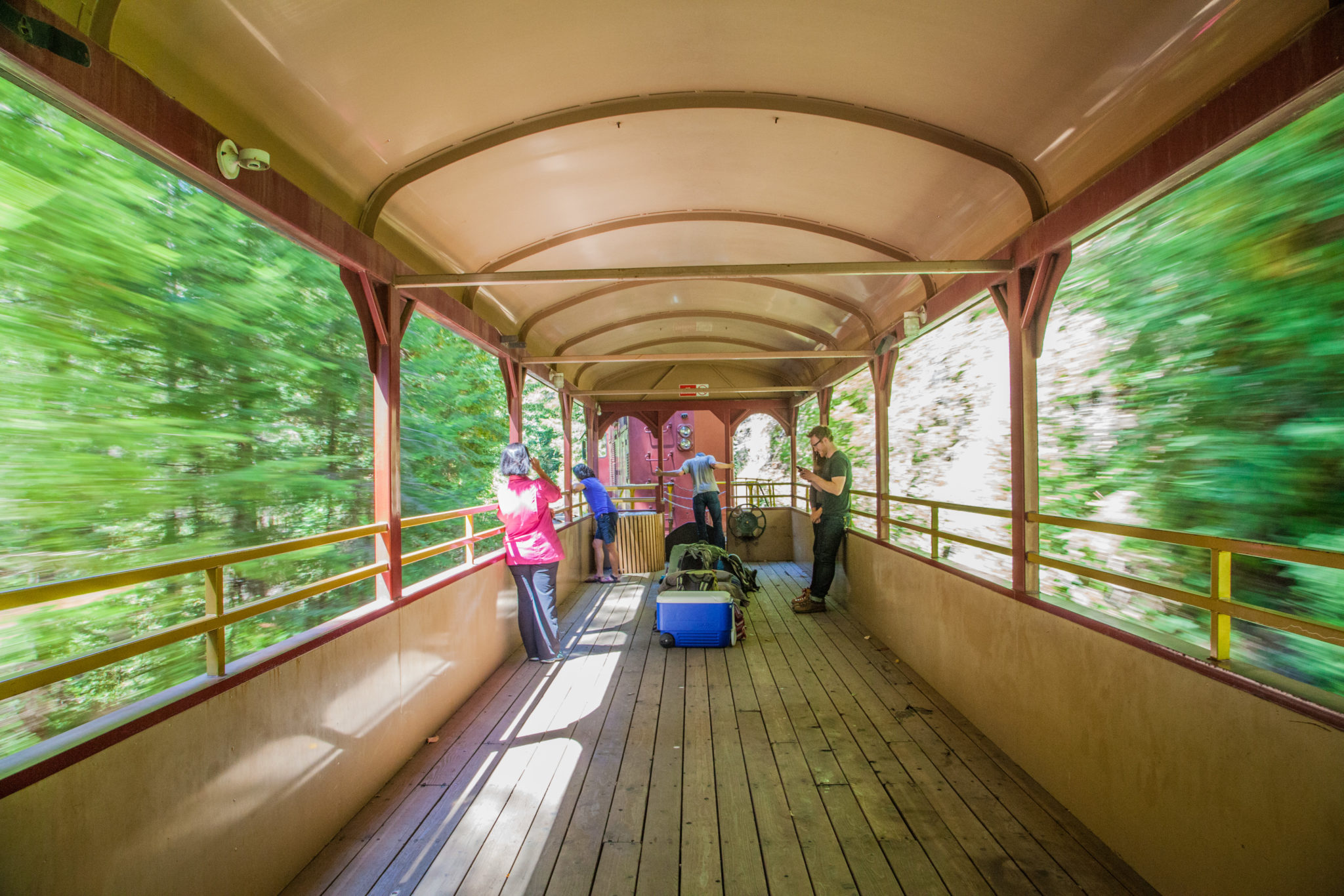 Take the Skunk Train to Camp Noyo - littlegrunts.com