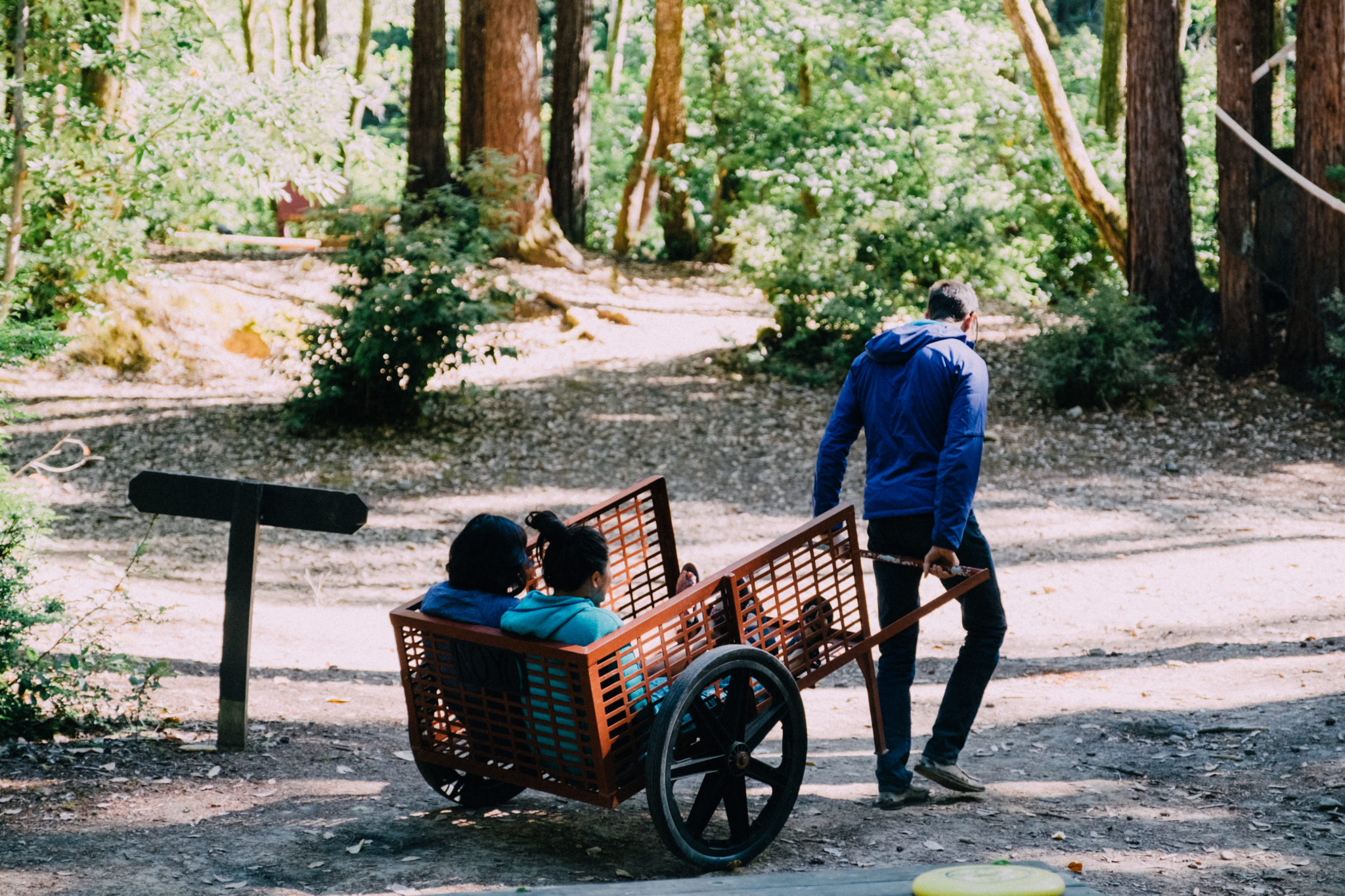 Take the Skunk Train to Camp Noyo - littlegrunts.com