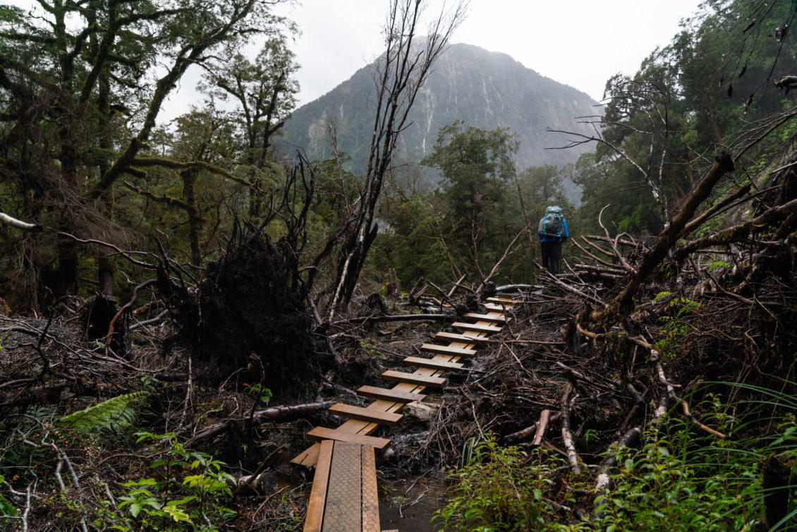 Milford Track, Day 4: Dumpling Hut to Milford Sound - littlegrunts.com