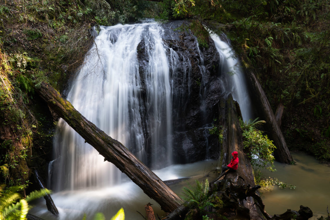 Hiking Fern Canyon and the Waterfall Loop, Russian Gulch State Park ...